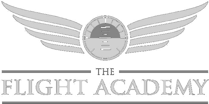 The Fleet - The Flight Academy